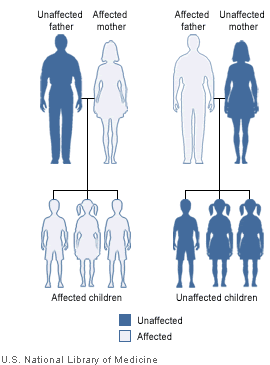 Solved Unaffected Affected father mother Affected Unaffected | Chegg.com